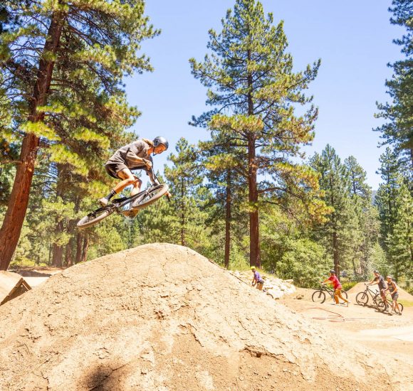 IVGID Wetland Hunting Program | Incline Village General Improvement ...