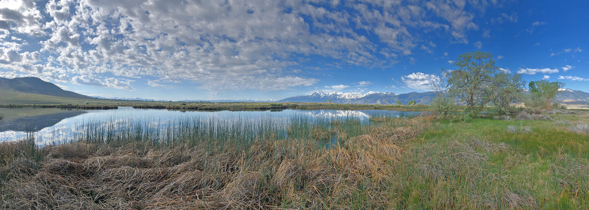 IVGID Wetland Hunting Program | Incline Village General Improvement ...