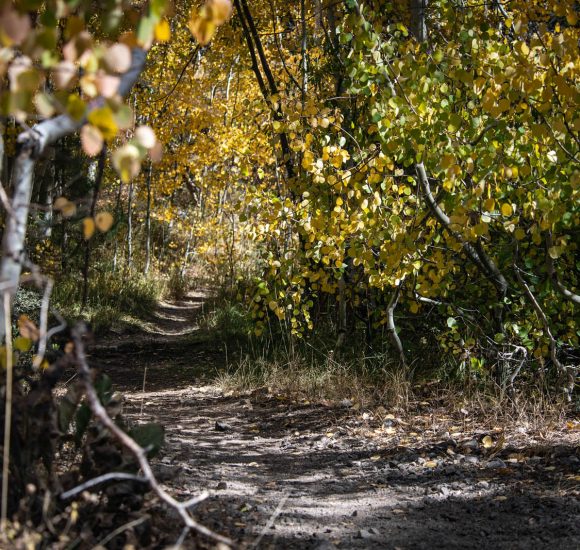 IVGID Venue Maps | Incline Village General Improvement District